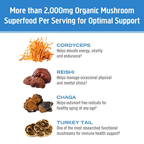 mushroom capsules for immune support