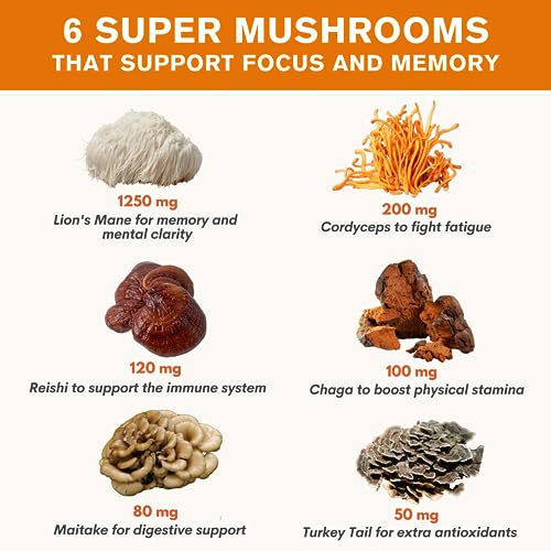 Mushroom capsules for improved concentration