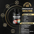 Mushroom capsules for overall health