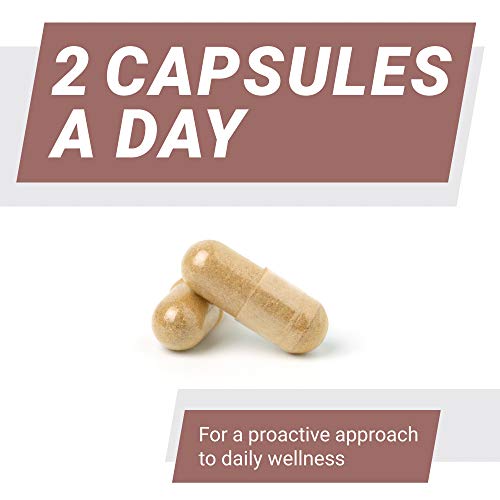 mushroom capsules for overall health