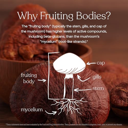 mushroom capsules for overall health