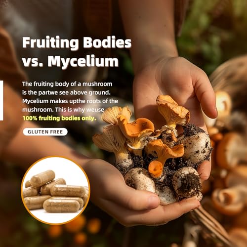 Mushroom capsules for overall wellness