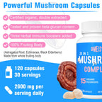 mushroom capsules for overall wellness