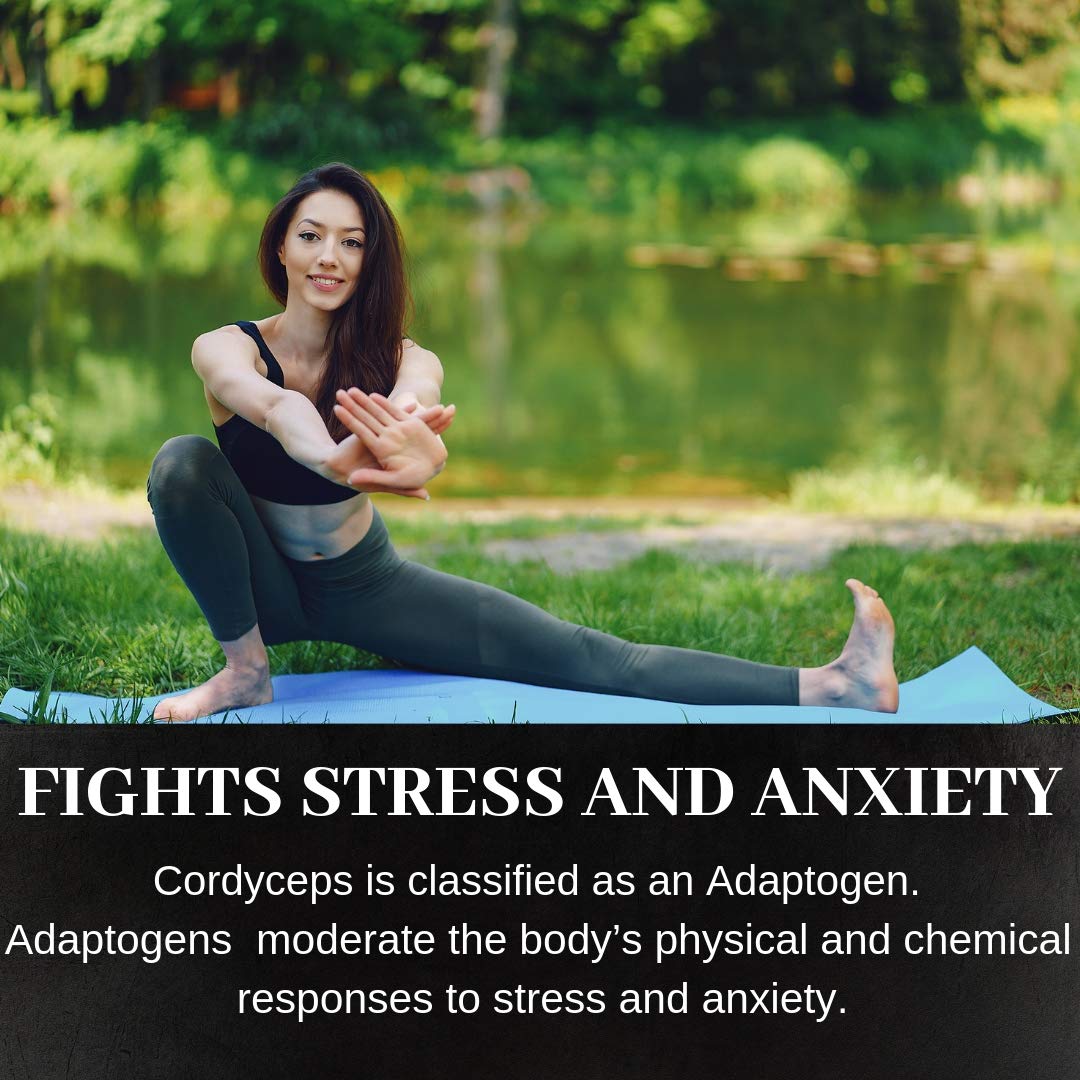 Mushroom capsules for stress relief