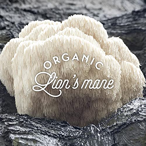 mushroom capsules for vegan lifestyle