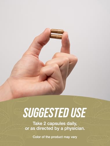 Mushroom capsules for vegan lifestyles