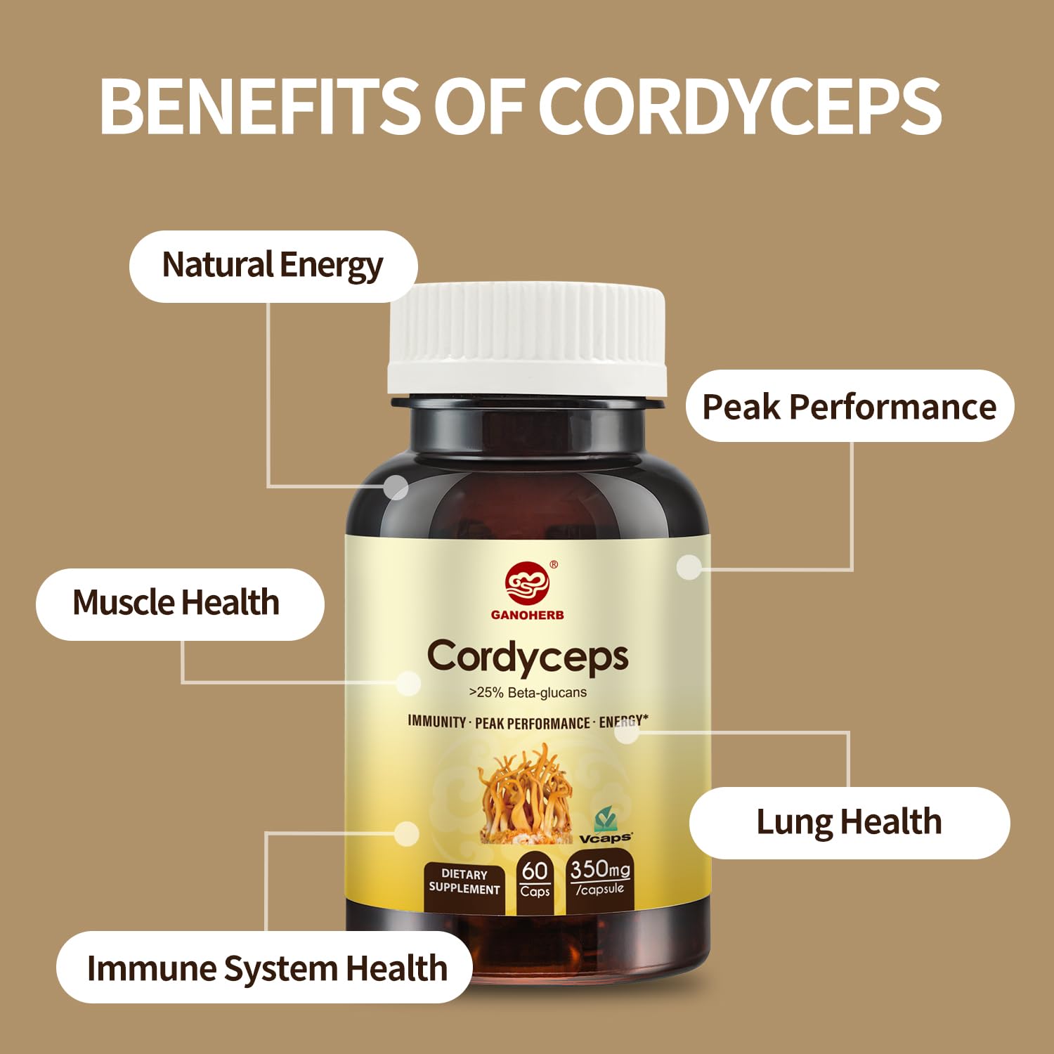 mushroom capsules for vitality