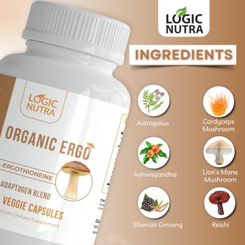mushroom capsules for wellness