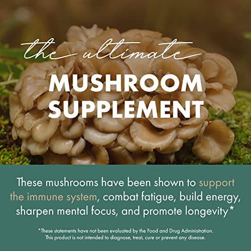 mushroom capsules for wellness
