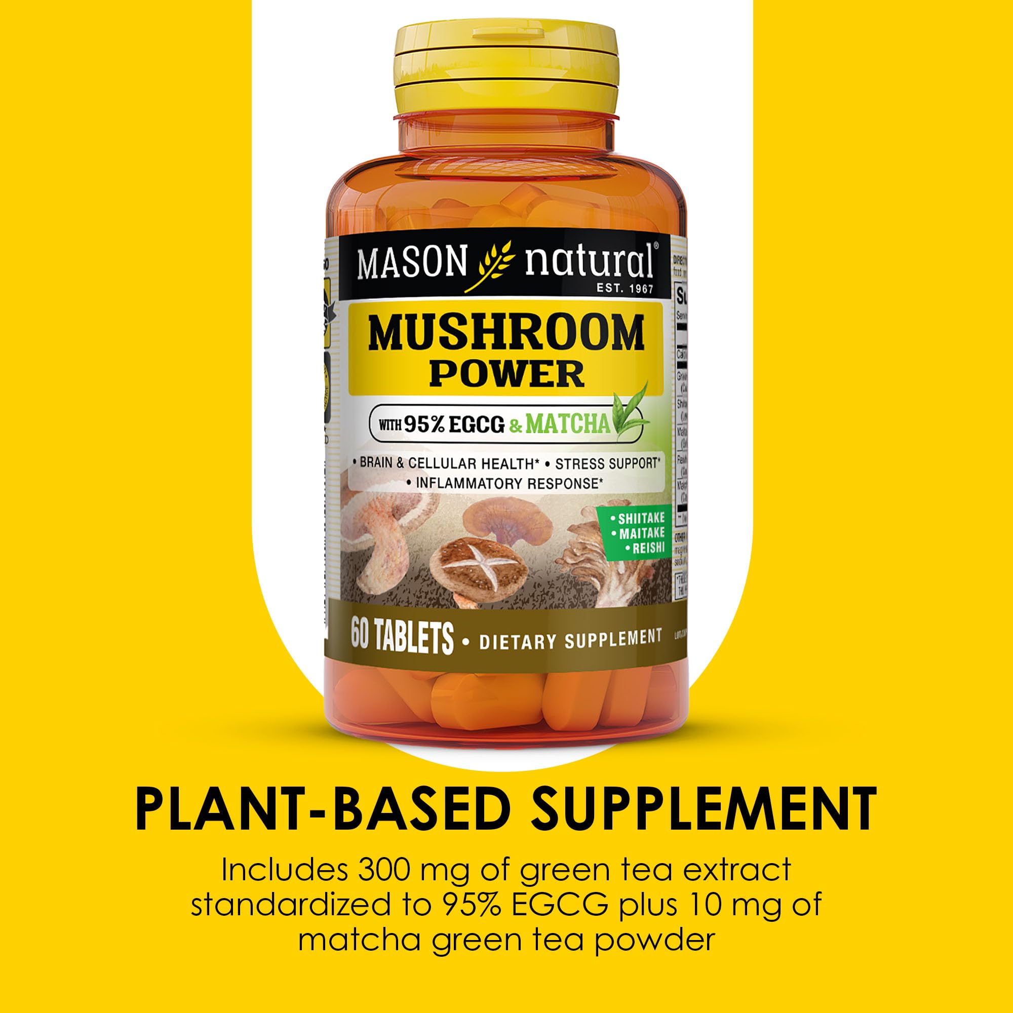 mushroom capsules for wellness