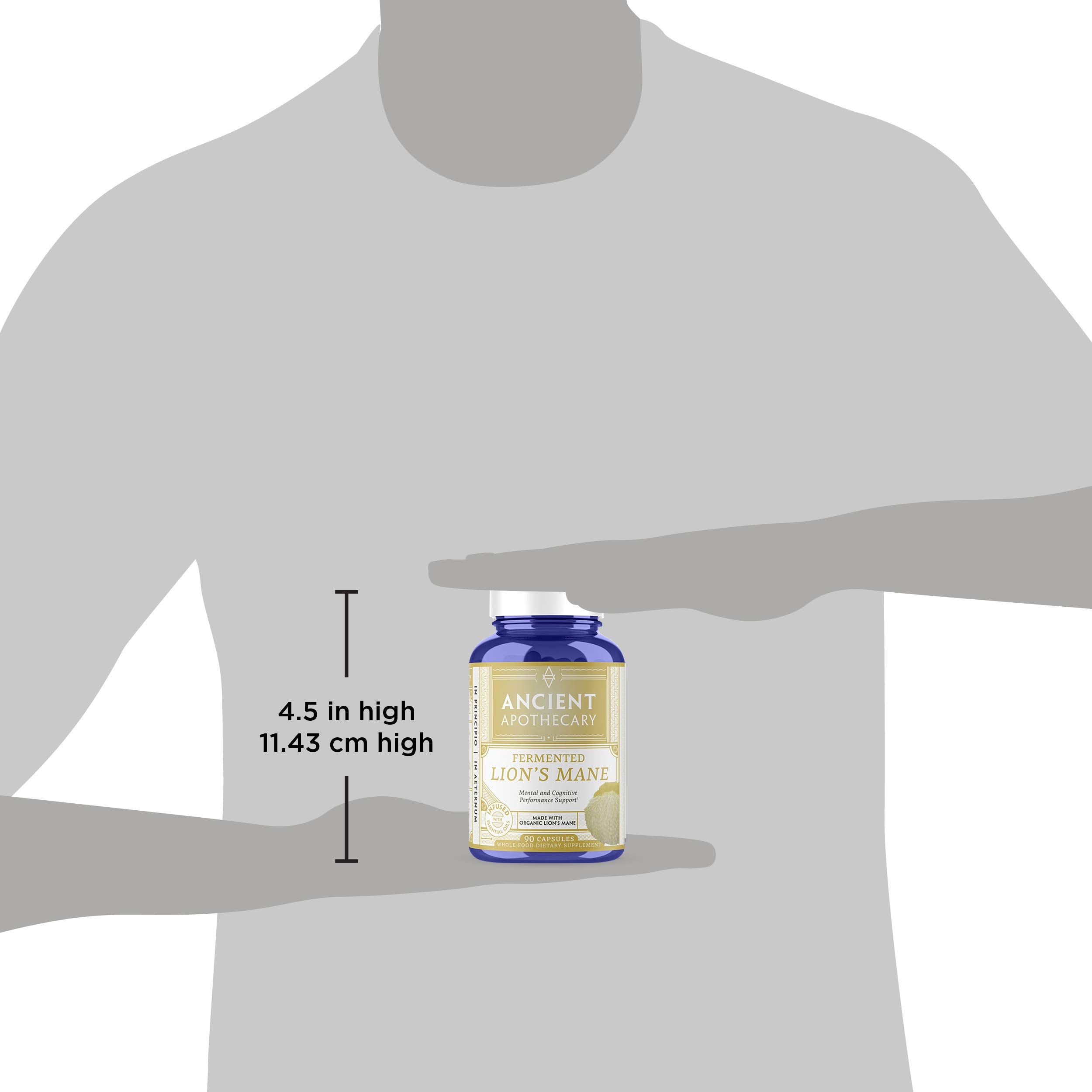 Mushroom capsules with digestive support
