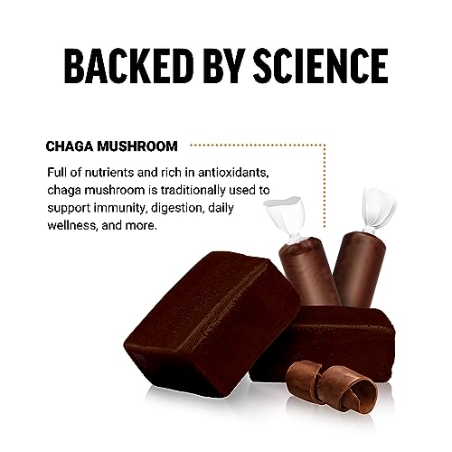 mushroom chews for daily nutrition