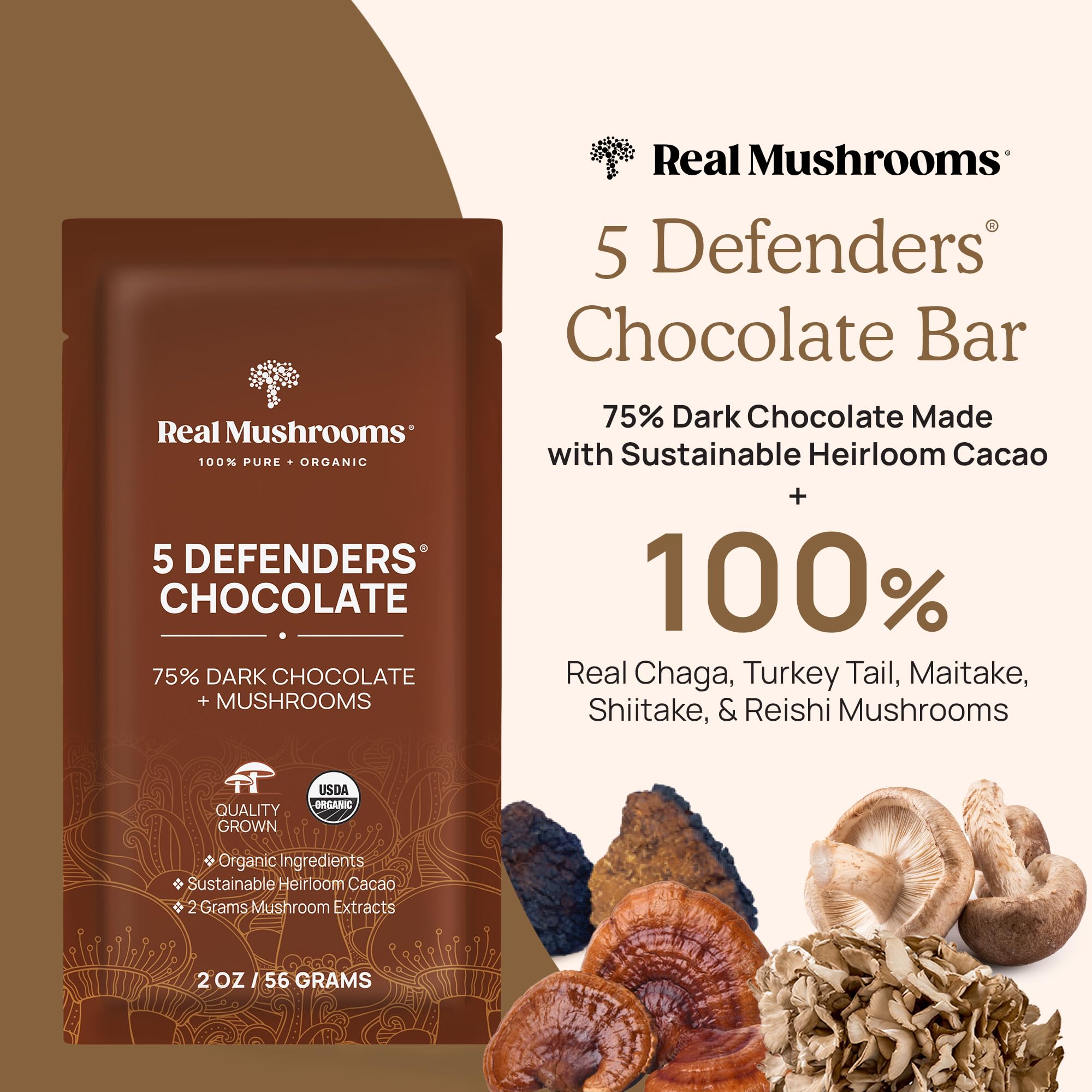 Mushroom chocolate for clarity and focus