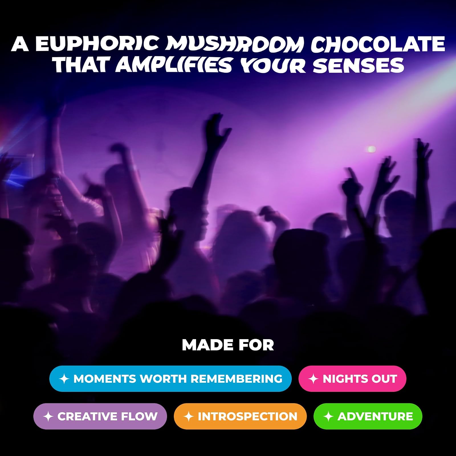 Mushroom chocolate with turkey tail
