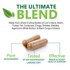 Mushroom coffee alternative blend
