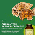 mushroom coffee alternative capsules