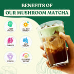 mushroom coffee alternative drink