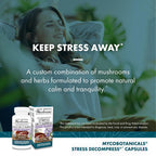 mushroom coffee alternative for calm