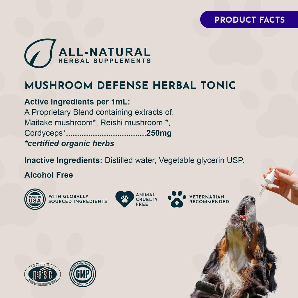 mushroom coffee alternative for wellness