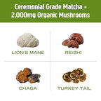 mushroom coffee alternative packets