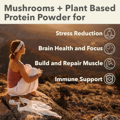 mushroom coffee alternative protein source