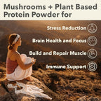 mushroom coffee alternative protein source