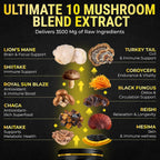mushroom coffee alternative supplement