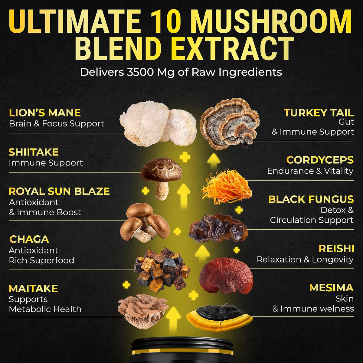 mushroom coffee alternative supplement
