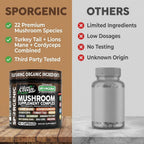 mushroom coffee alternative supplement
