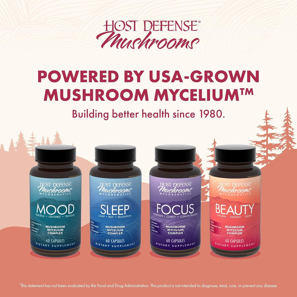 mushroom coffee alternative with benefits