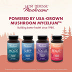 mushroom coffee alternative with benefits