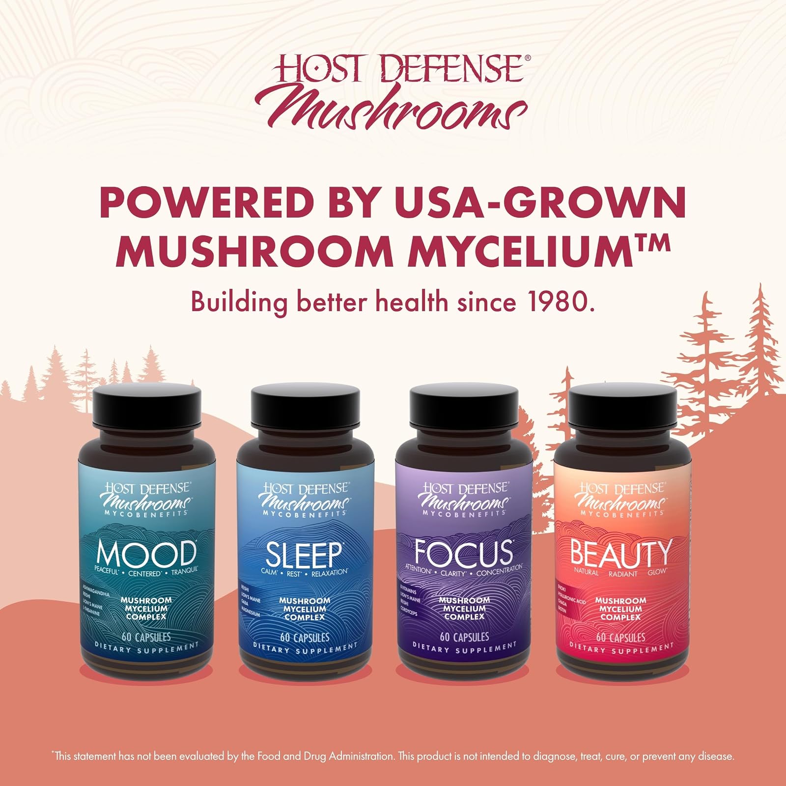 mushroom coffee alternative with benefits
