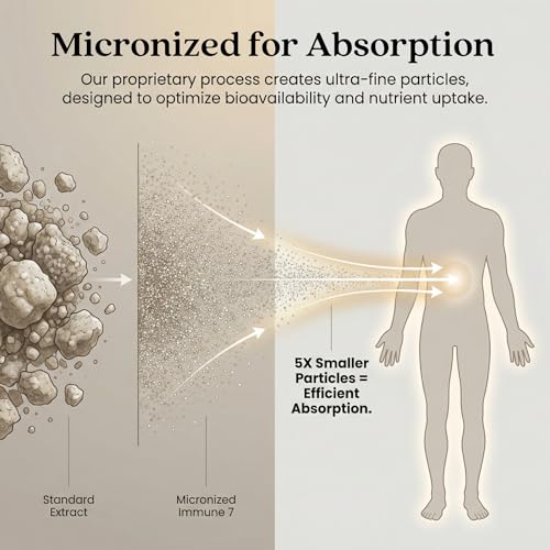 mushroom coffee alternative with benefits