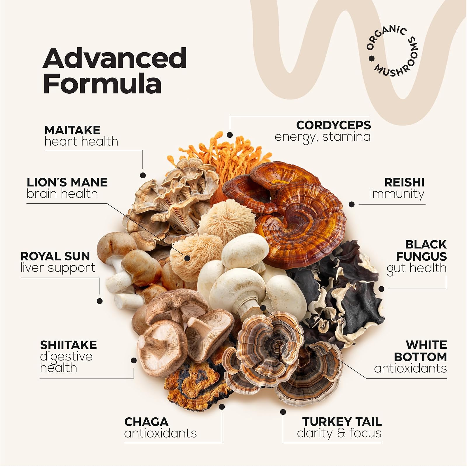 Mushroom coffee alternative with Lion's Mane