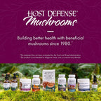 mushroom coffee alternative with myco botanicals