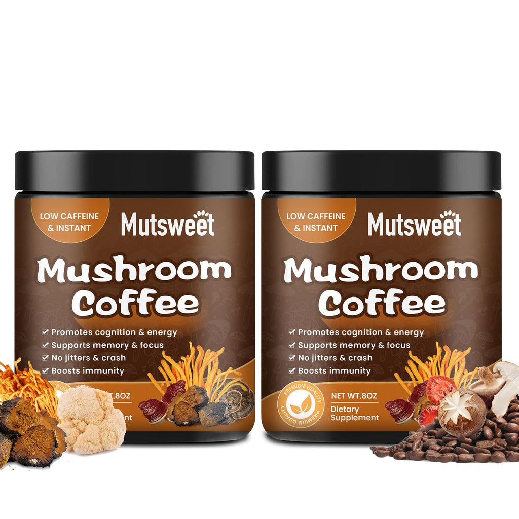 mushroom coffee blend for energy