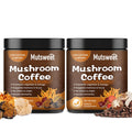 mushroom coffee blend for energy