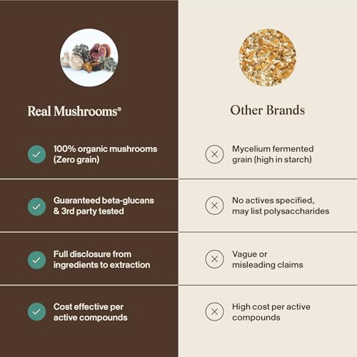 mushroom coffee blend for energy
