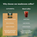 mushroom coffee blend for focus