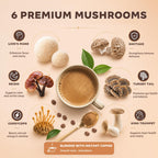 mushroom coffee blend for wellness