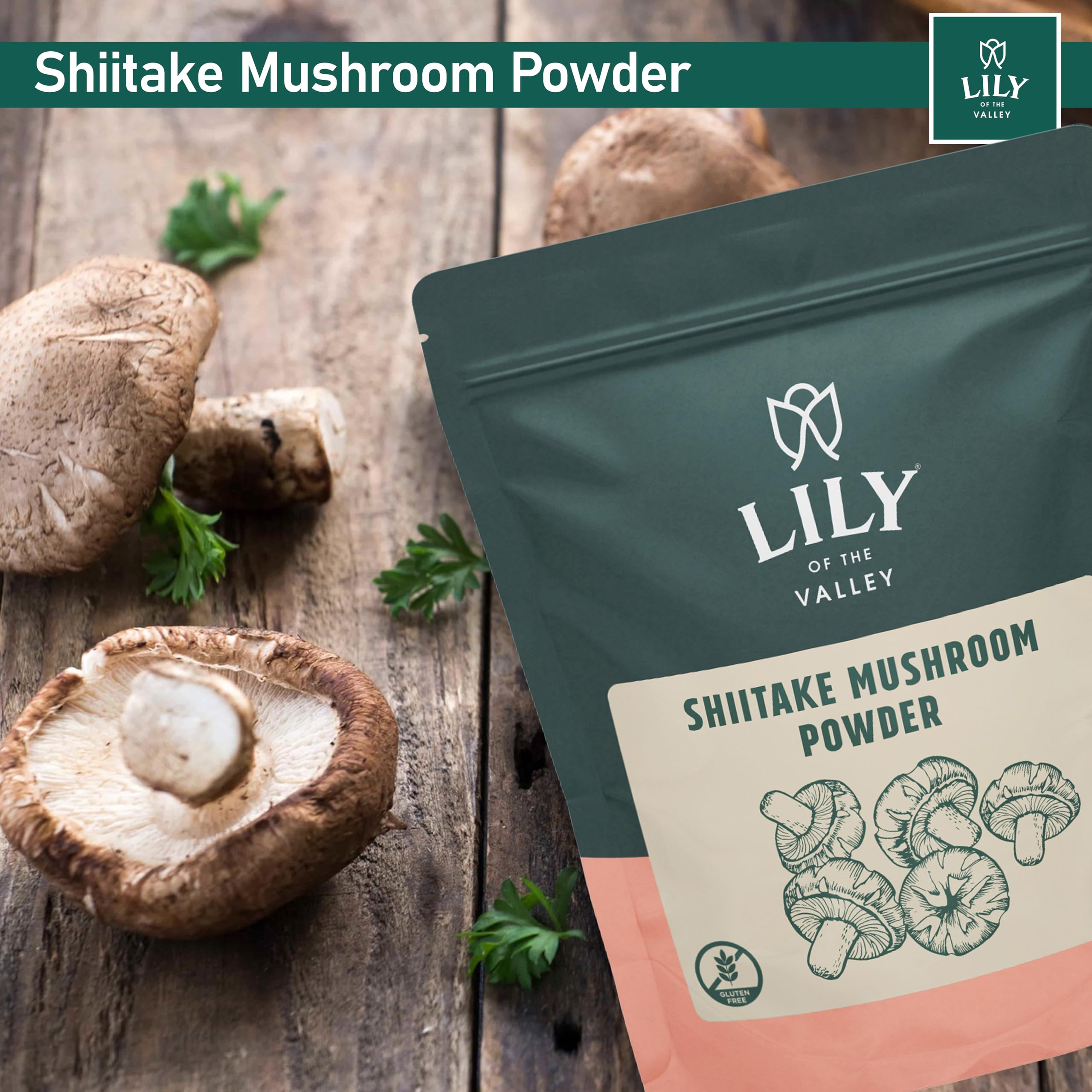 mushroom coffee blend ingredient