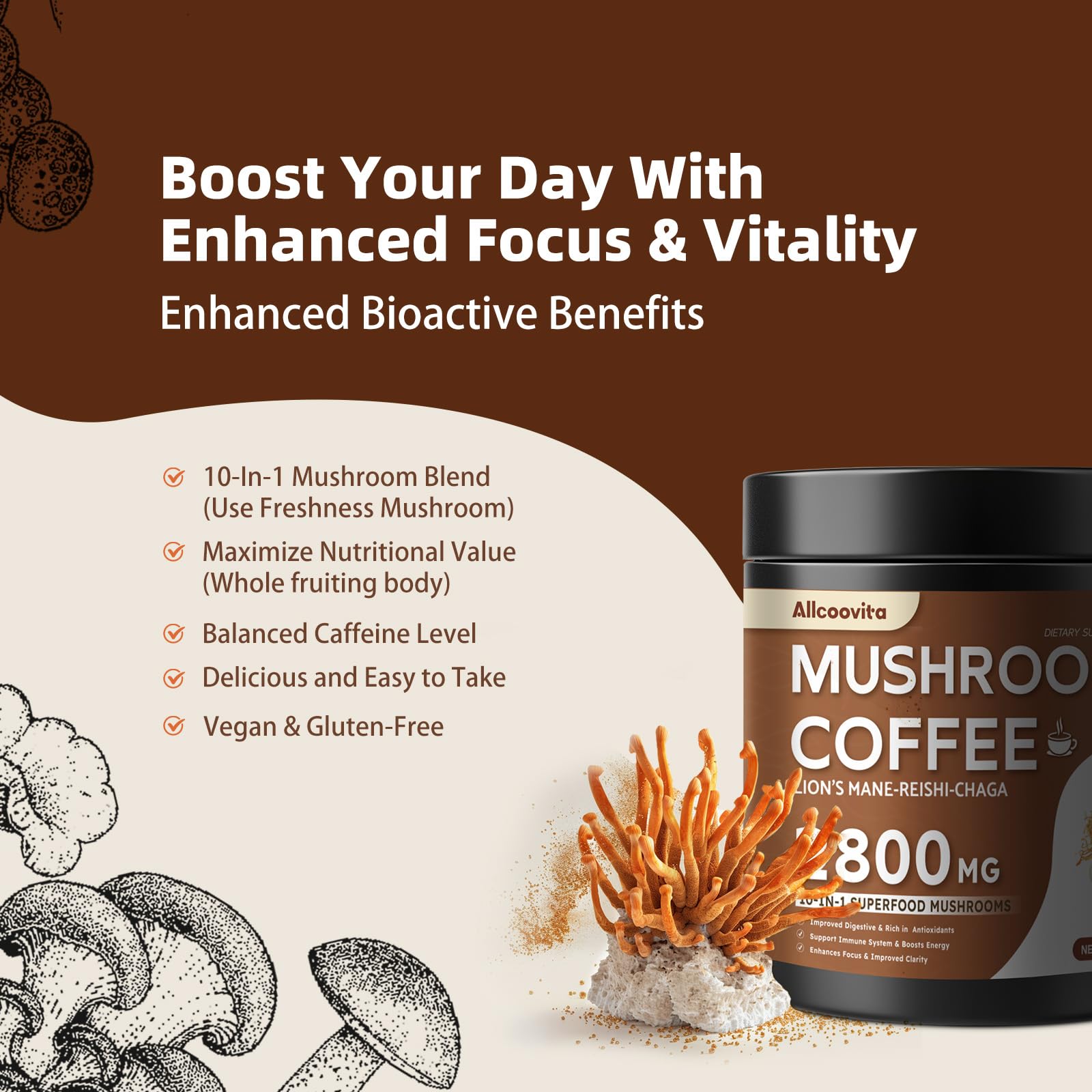 mushroom coffee for cognitive function