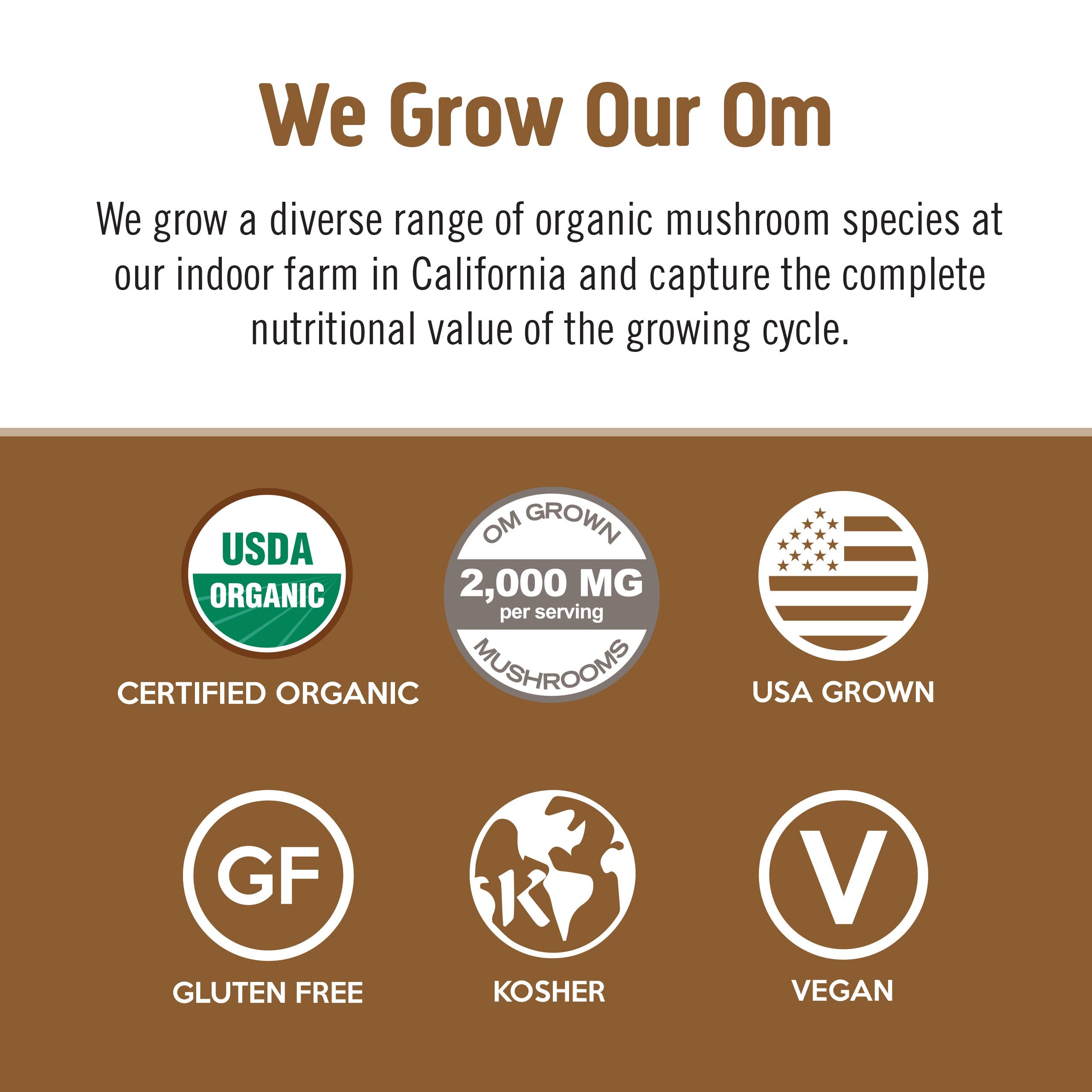 mushroom coffee for cognitive support
