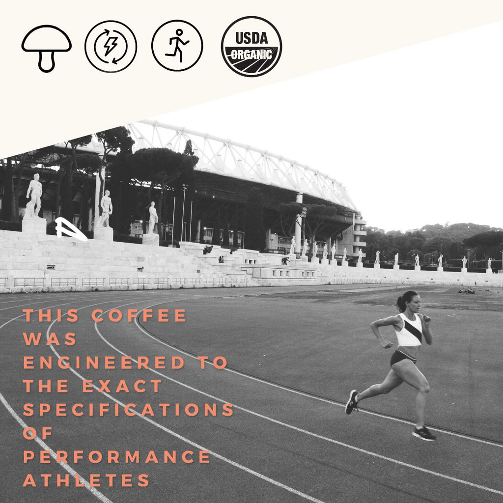 Mushroom coffee for daily energy