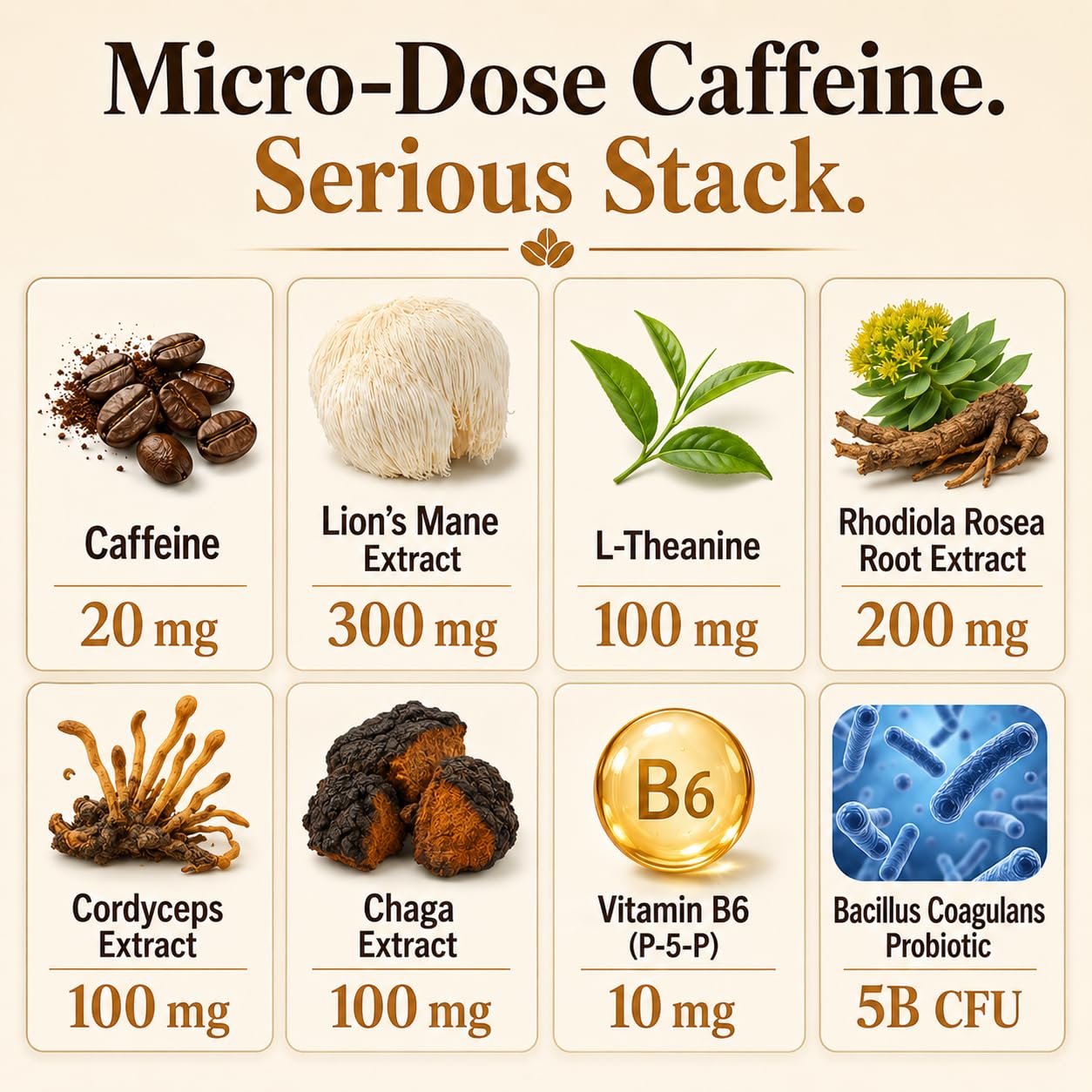 Mushroom coffee for daily vitality