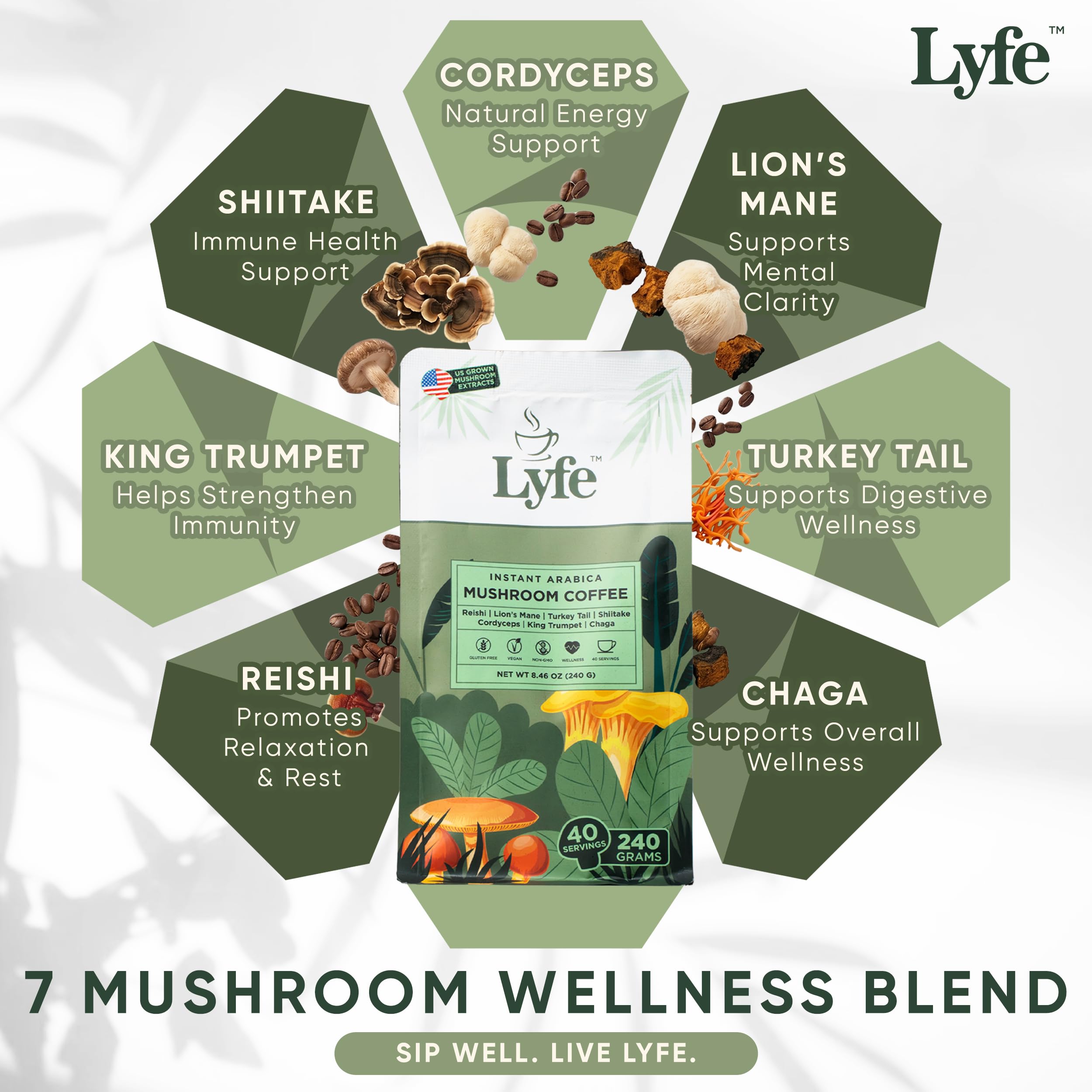 mushroom coffee for daily wellness