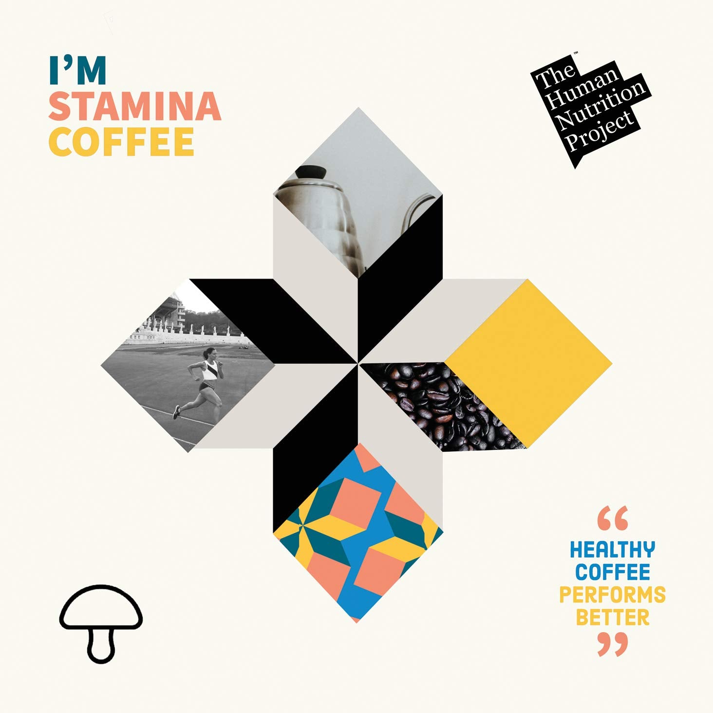 mushroom coffee for daily wellness