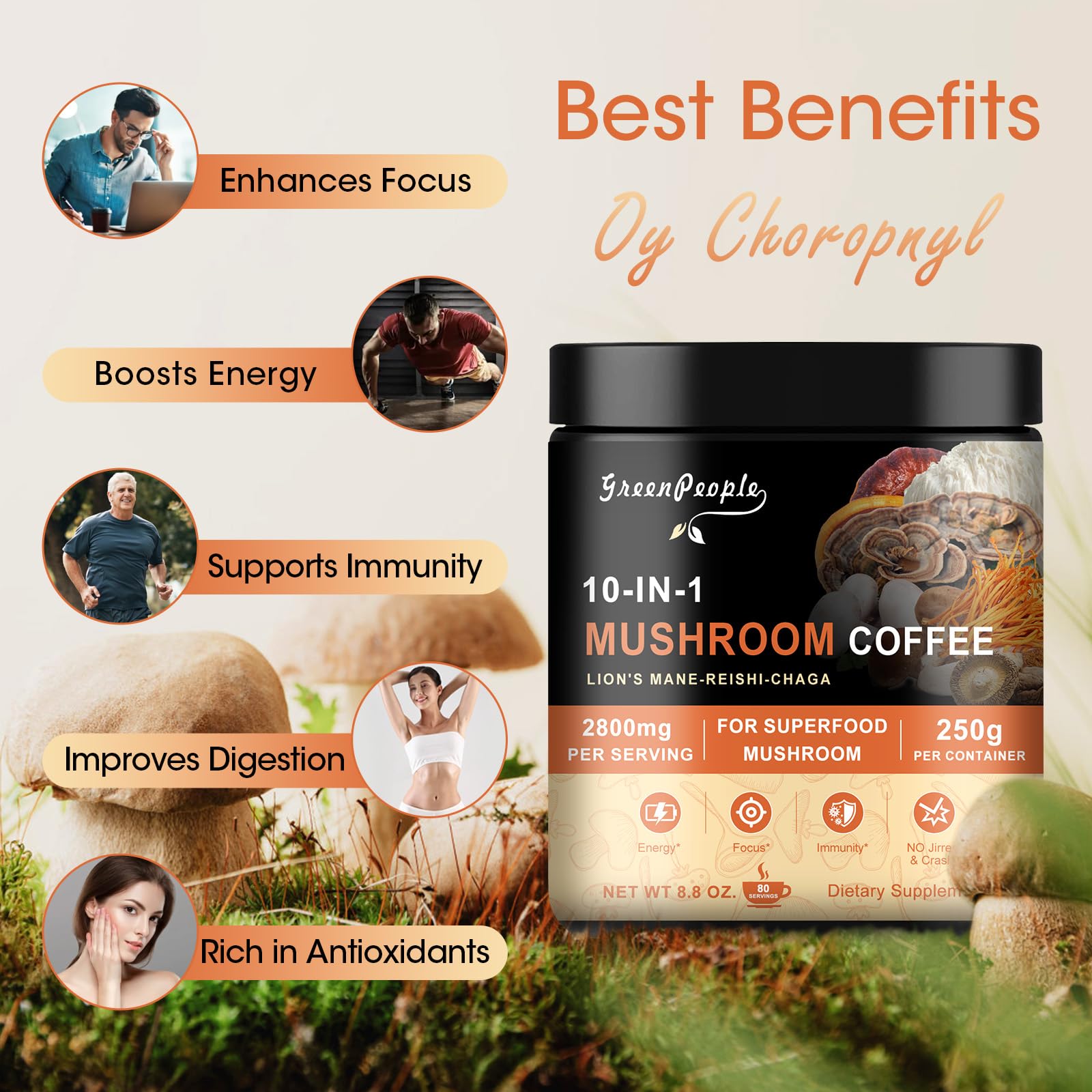 mushroom coffee for daily wellness