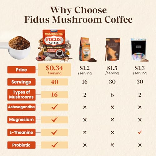 mushroom coffee for energy boost