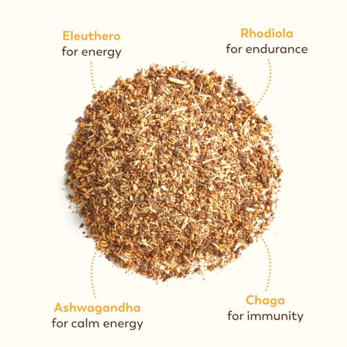 mushroom coffee for energy boost